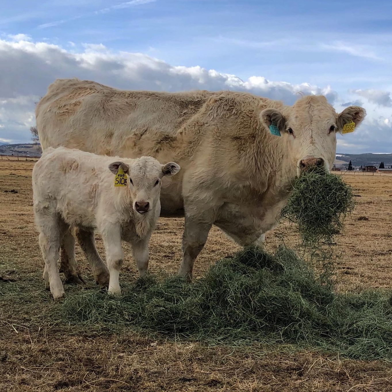 Orton Farm Center - Panguitch, UT | Southern Utah Local